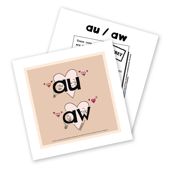 Warm Neutral Phonics Flashcards – The Secret Stories